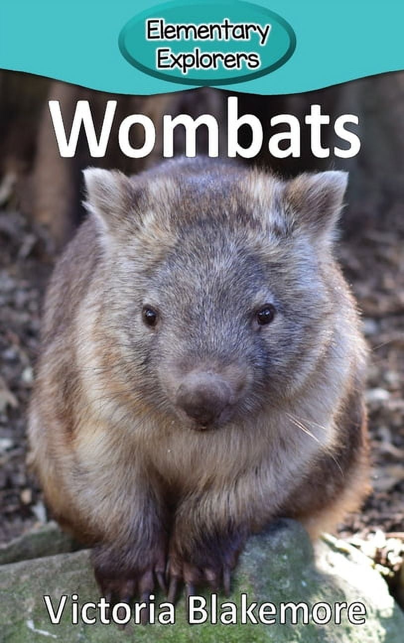 Elementary Explorers: Wombats (Hardcover) - Walmart.com