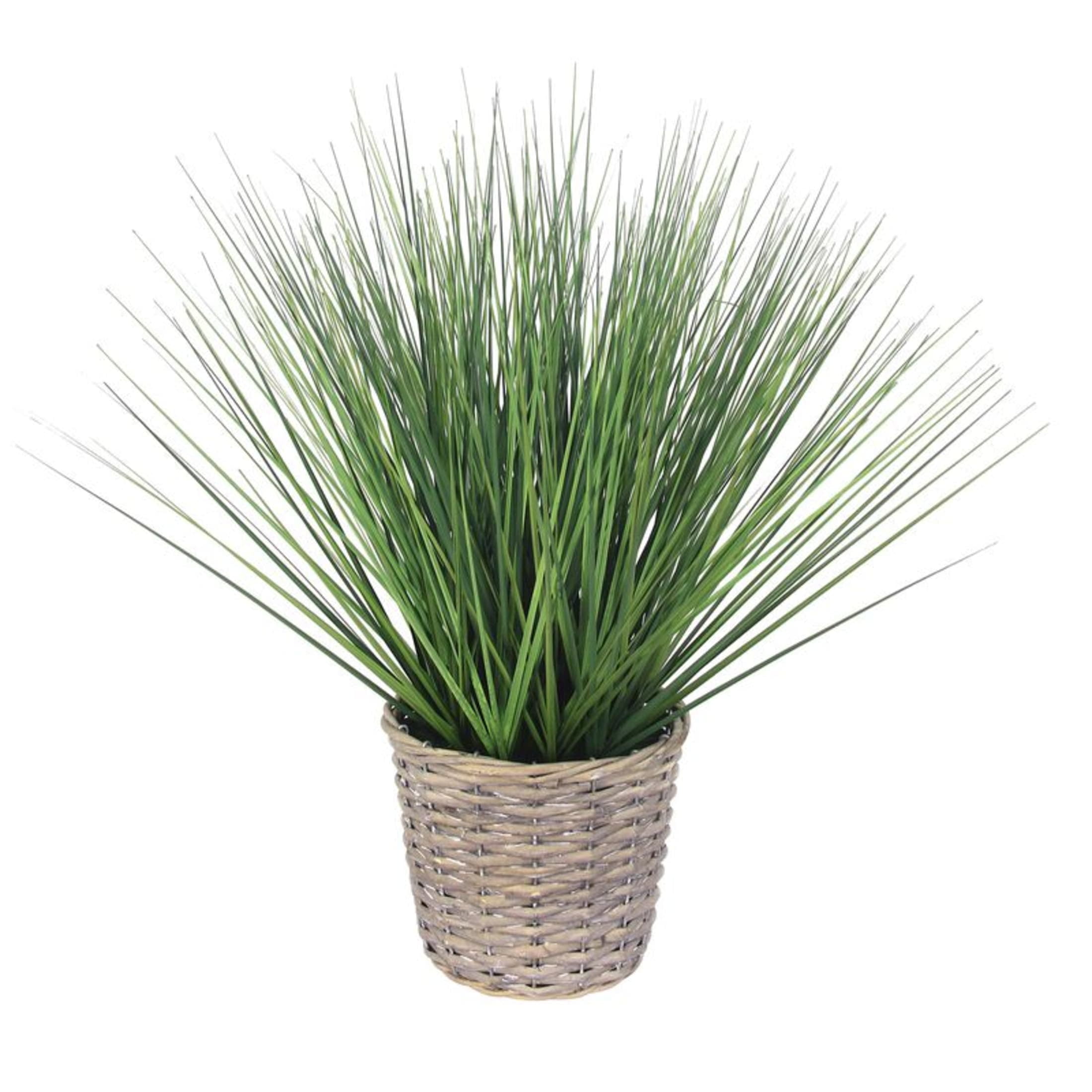 Elements 20-inch Grass in Gray Willow Basket, Green - Walmart.com