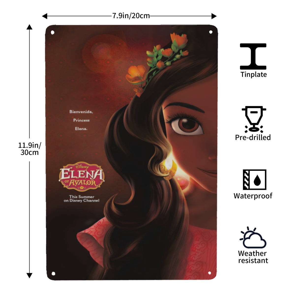 Elena of Avalor Princess-themed Tin Painting tin painting, 8×12 in (20× ...