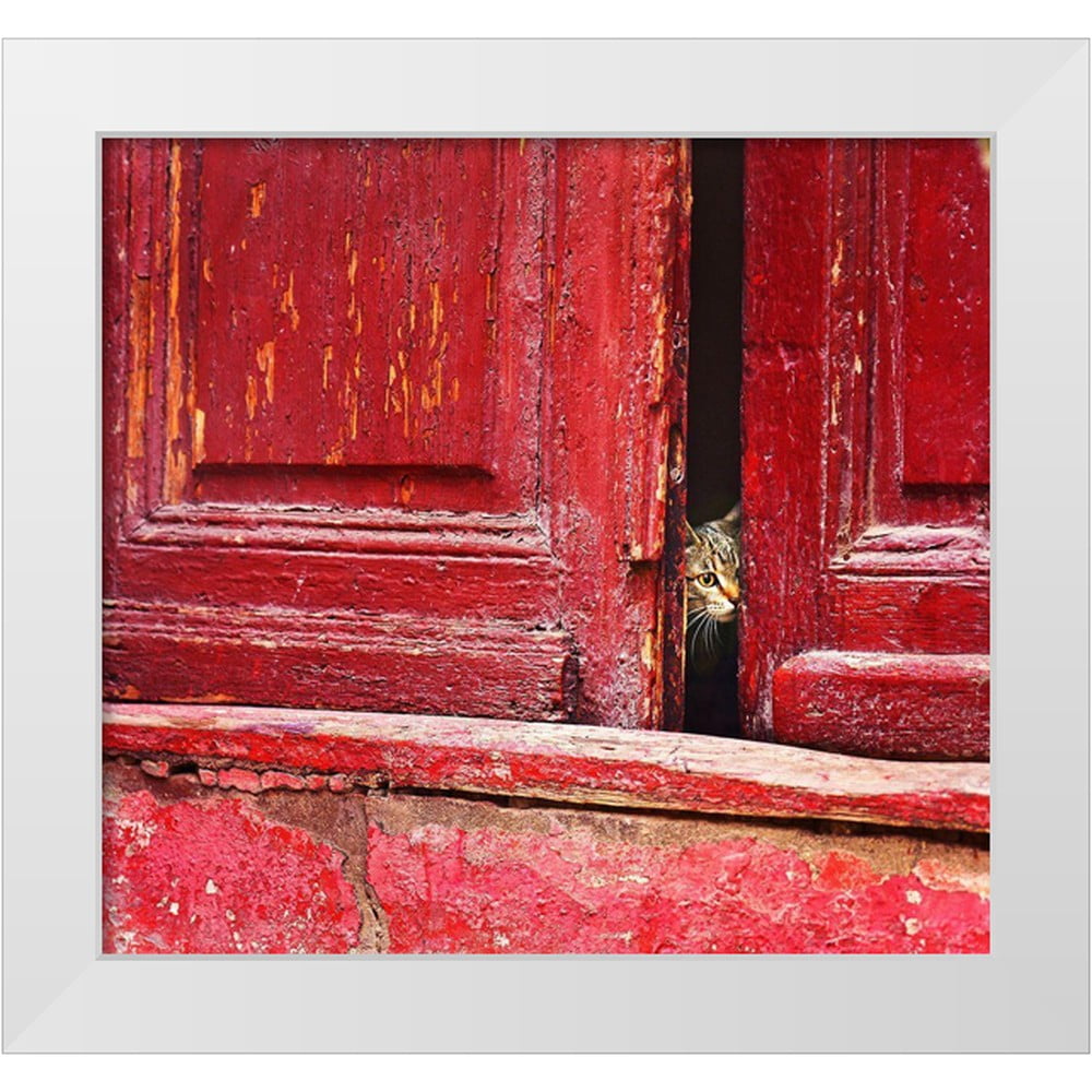 Elena, Raceala 21x20 White Modern Wood Framed Museum Art Print Titled - Behind The Scene ...