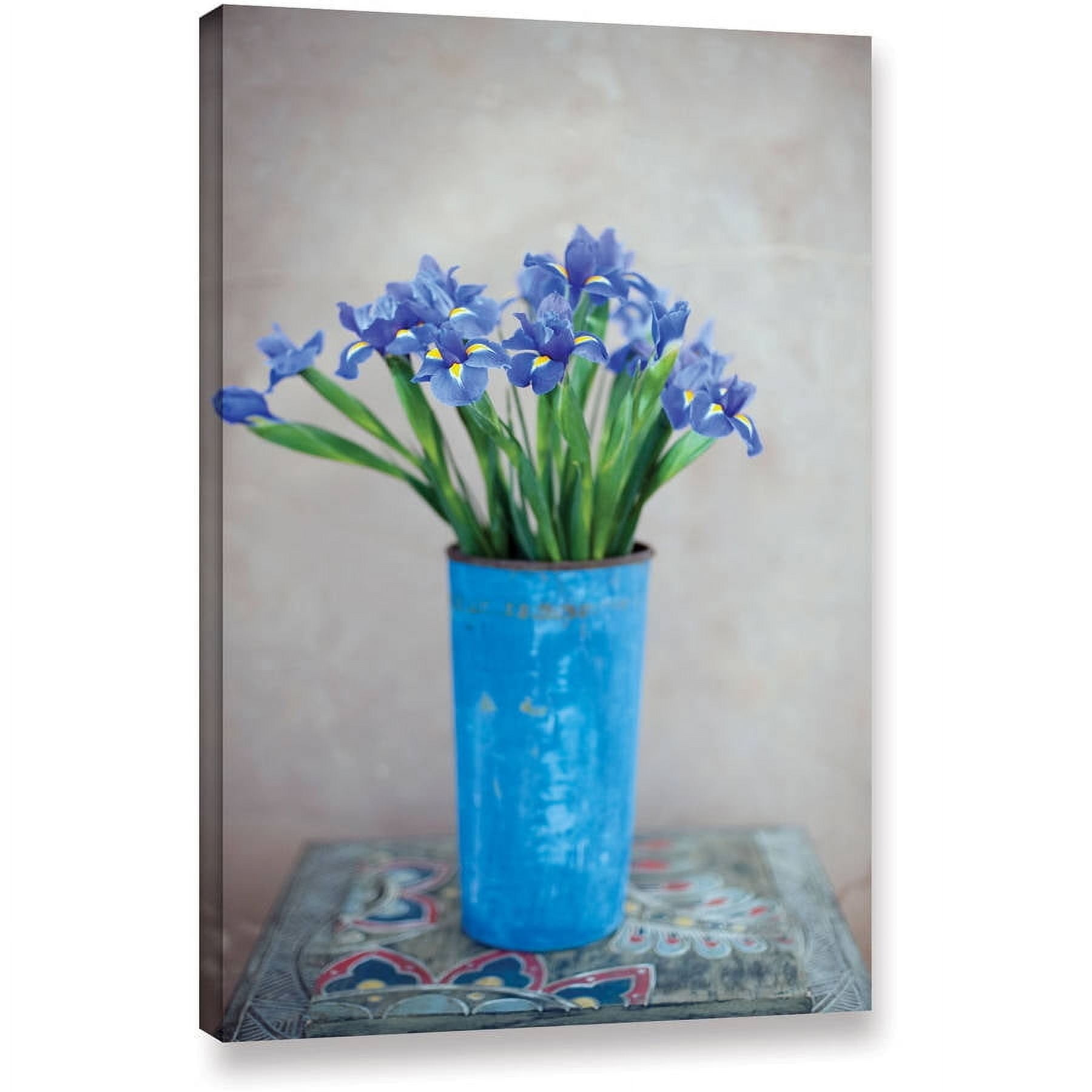 Elena Ray "Iris Flowers" Gallery-Wrapped Canvas - Walmart.com