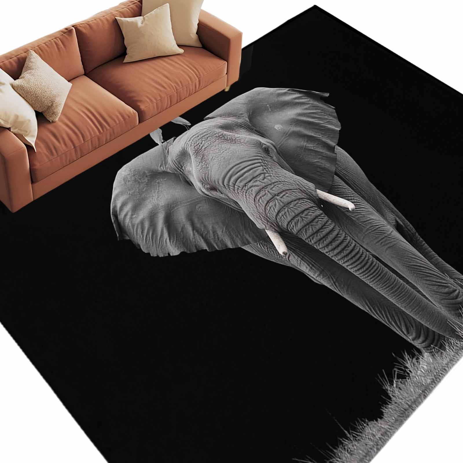 Elephant Bird Large Area Rugs for Bedroom Living Room, Soft Non Slip ...
