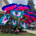Elephant Ear For Planting-Easy Planting-Perennial-Gardens Decoration ...