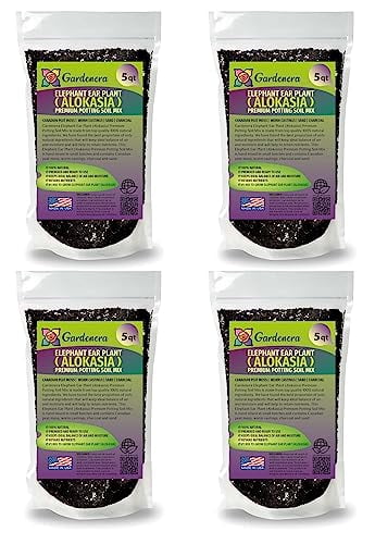 Elephant Ear Plant Potting Mix - High-Performance Formula for Robust ...