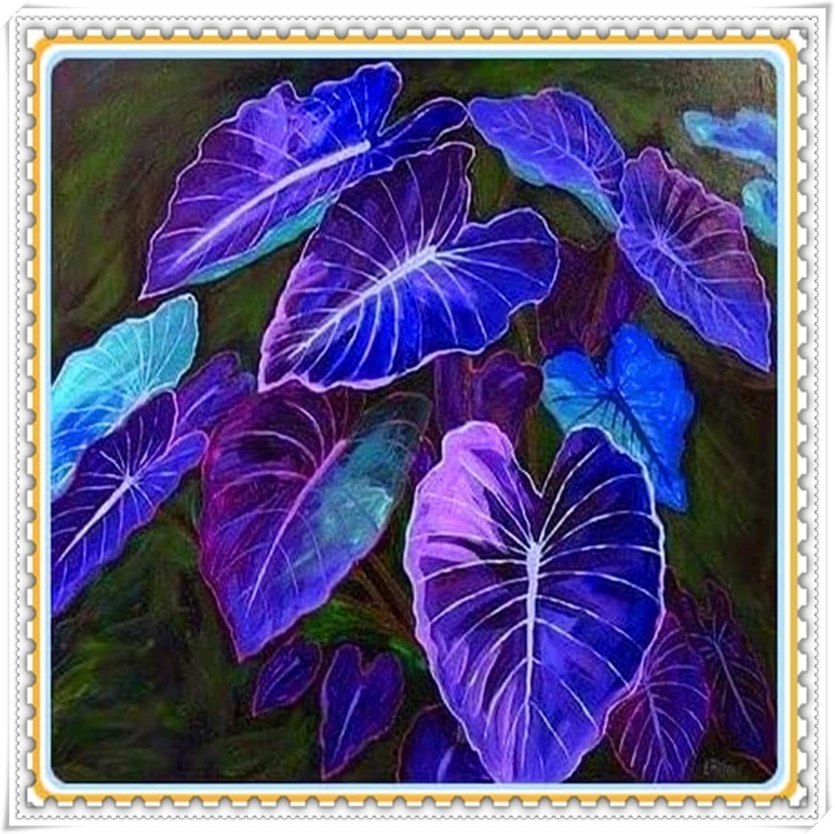 Elephant Ear Simple to Grow Pots Ornaments Beautiful Environment ...