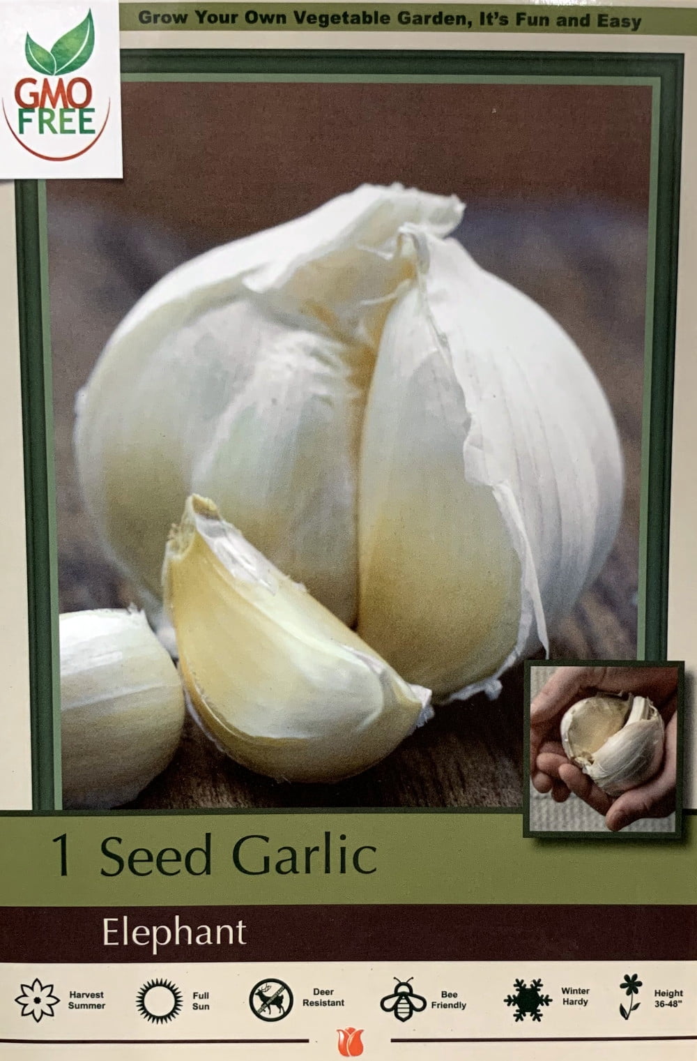 Hirt's Gardens Elephant Garlic Bulb, Large Single Bulb, Mild Garlic ...