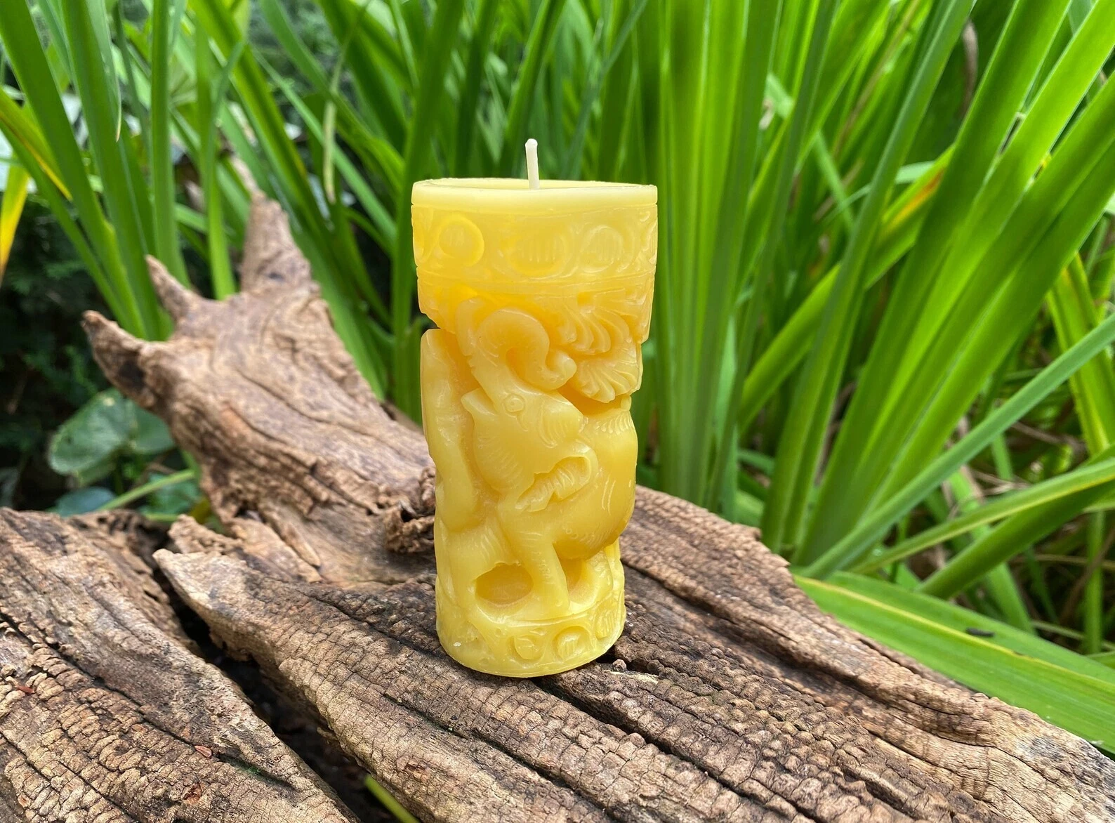 Elephant Jungle Beeswax Pillar, Bees Wax Candles, Elephants, Animal ...