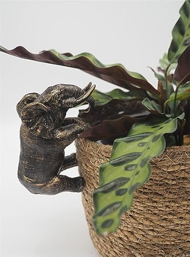 Elephant Pot Buddies Plant Pot Hanger - Walmart.com