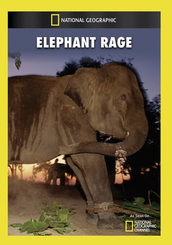 Elephant Rage (DVD), National Geographic, Documentary - Walmart.com