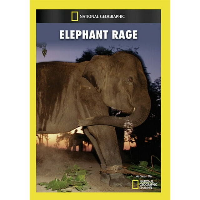 Elephant Rage (DVD), National Geographic, Documentary - Walmart.com