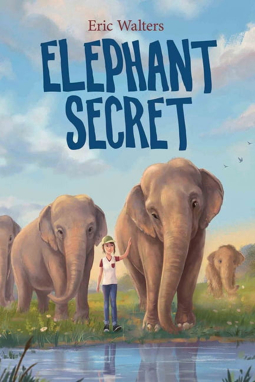 Elephant Secret (Hardcover) - Walmart.com