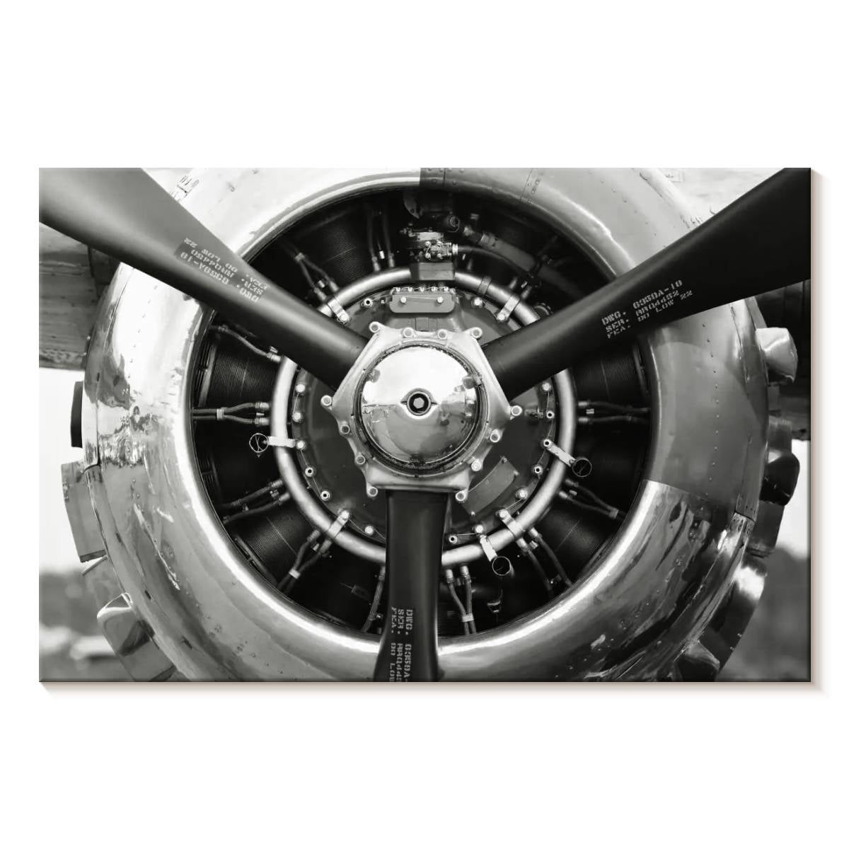 Elephant Stock Airplane Propeller Wall Art - Horizontal Canvas Wall Art ...