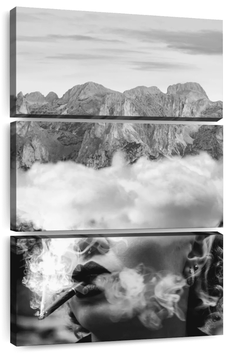 Elephant Stock Alpine Female Portrait Wall Art - Vertical Multi Panel ...