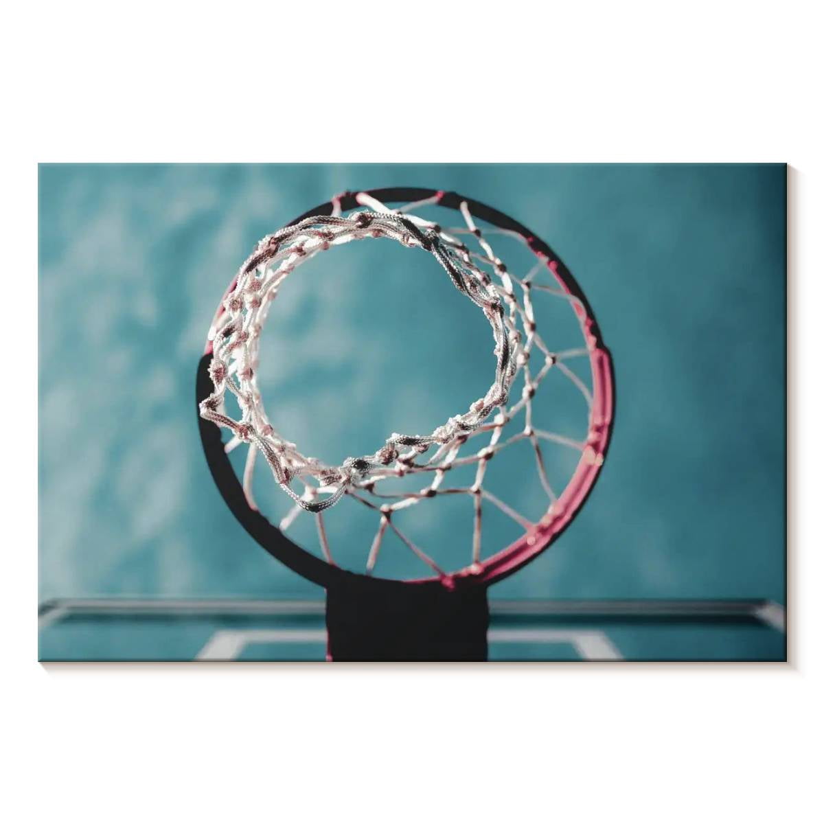 Elephant Stock Basketball Hoop Wall Art - Horizontal Canvas Wall Art ...