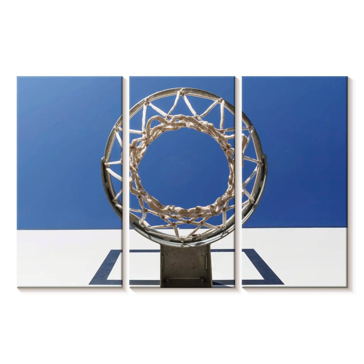 Elephant Stock Under The Basketball Hoop Wall Art - Horizontal Multi ...