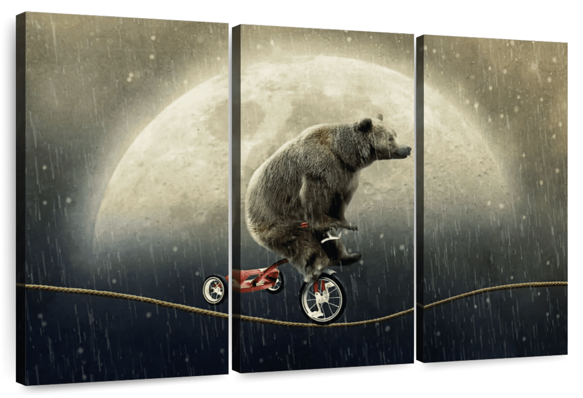 Elephant Stock Bear Balancing Act Wall Art - Fantasy And Sci-fi Multi ...