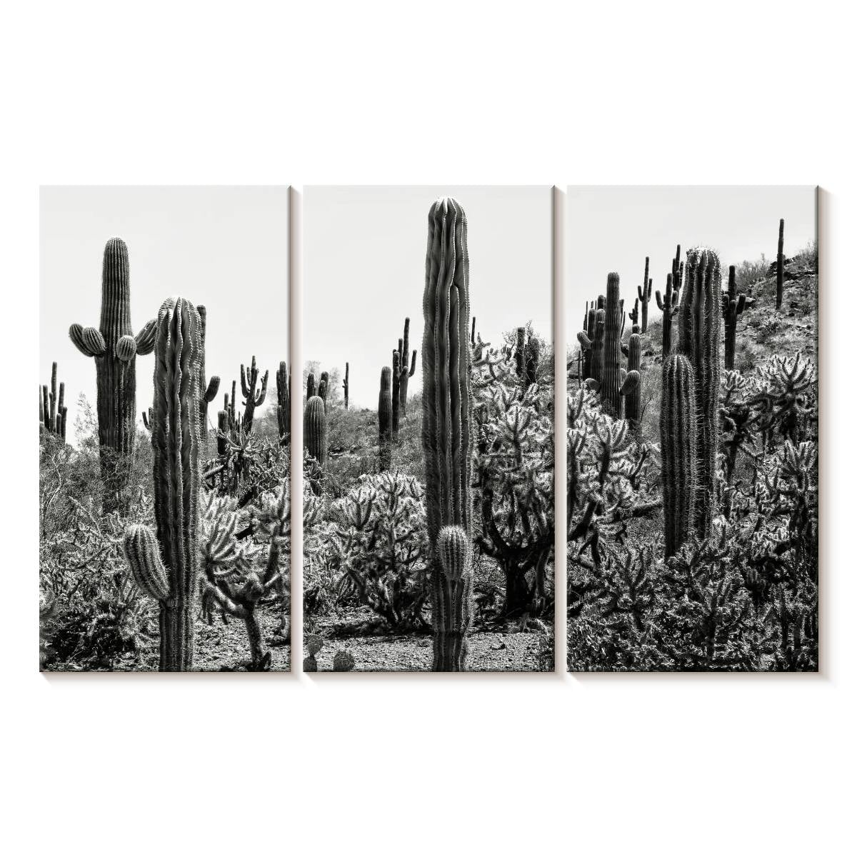 Elephant Stock Black Arizona - Amazing Cactus I Wall Art - Living Room ...