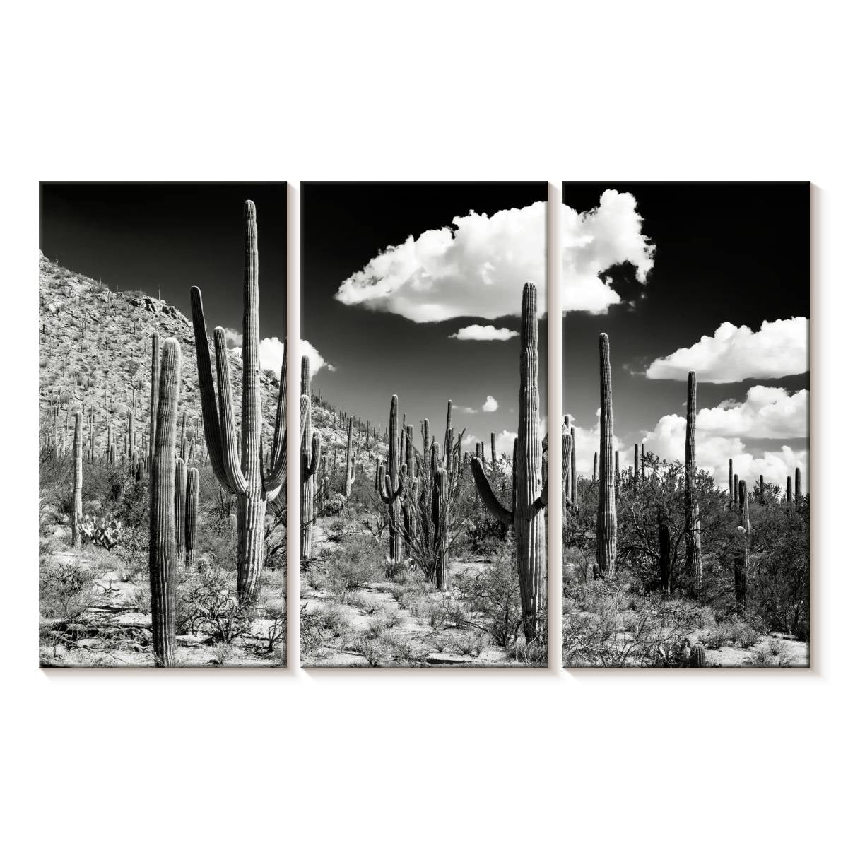 Elephant Stock Black Arizona - Cactus Forest Wall Art - Living Room ...