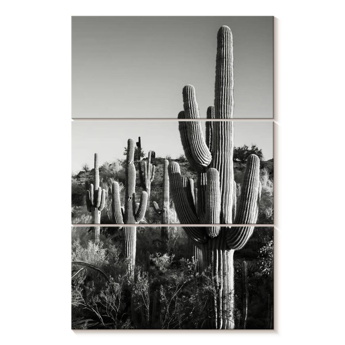 Elephant Stock Black Arizona - Cactus Sunrise Wall Art - Living Room ...