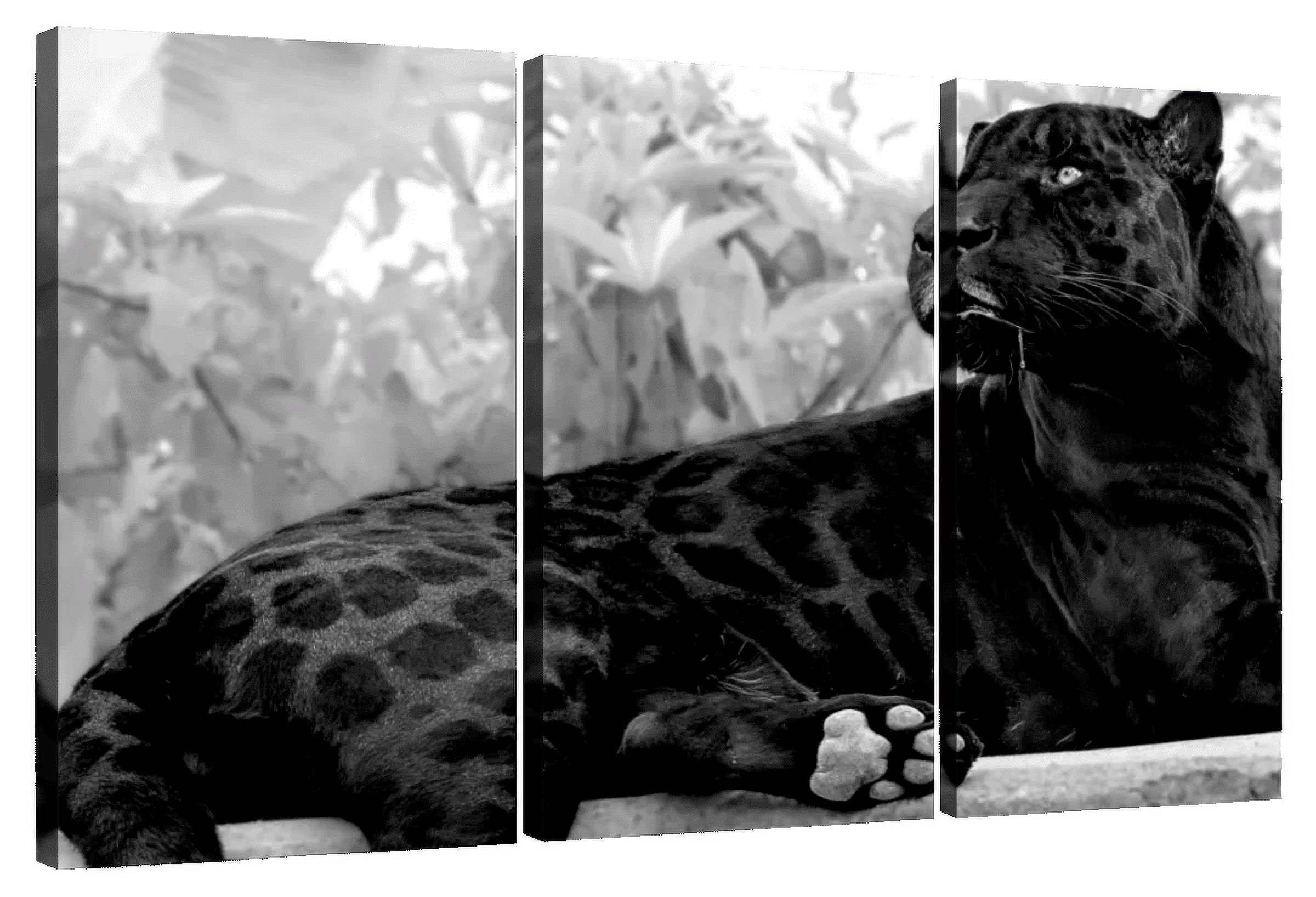 Elephant Stock Black Panther Monochrome Wall Art - Horizontal Multi ...