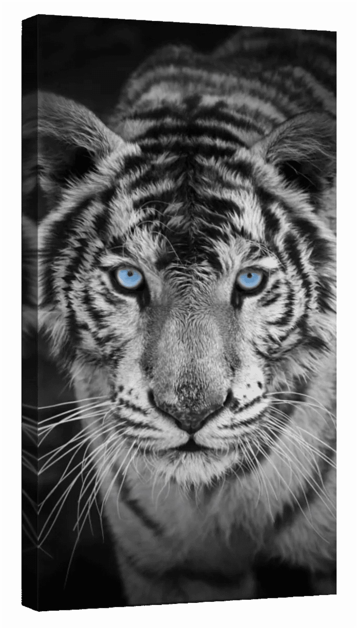 Elephant Stock Blue Eye Tiger Wall Art - Animal Canvas Canvas - 18" x ...