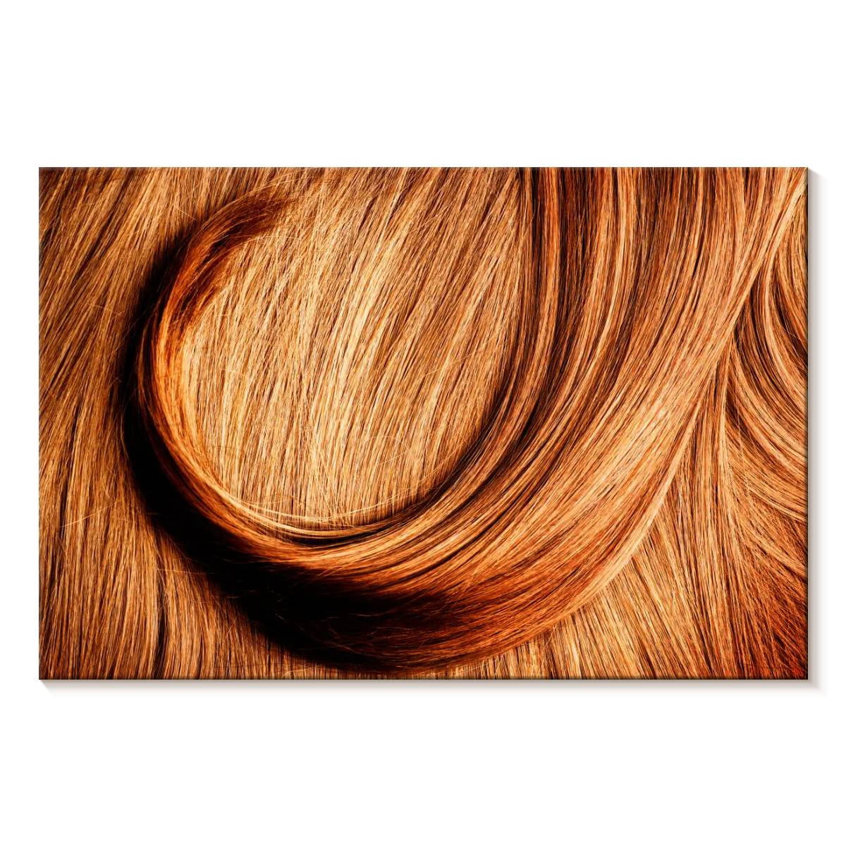 Elephant Stock Brunette Hair Wall Art - Horizontal Canvas Wall Art ...