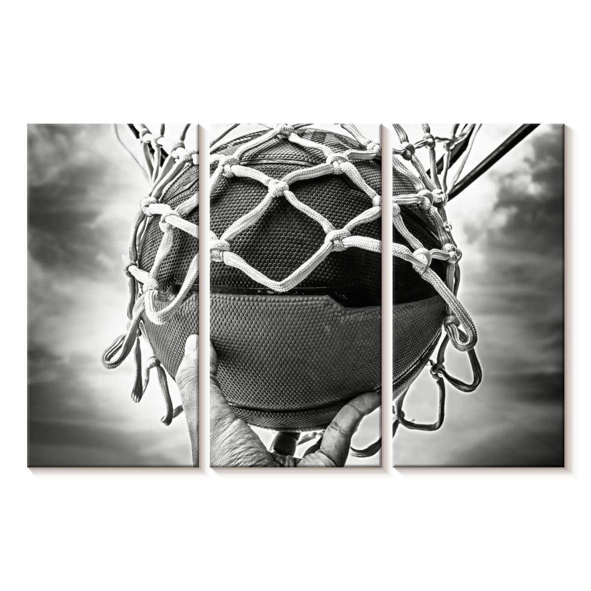 Elephant Stock Bw Basketball Wall Art - Horizontal Multi Panel Canvas ...