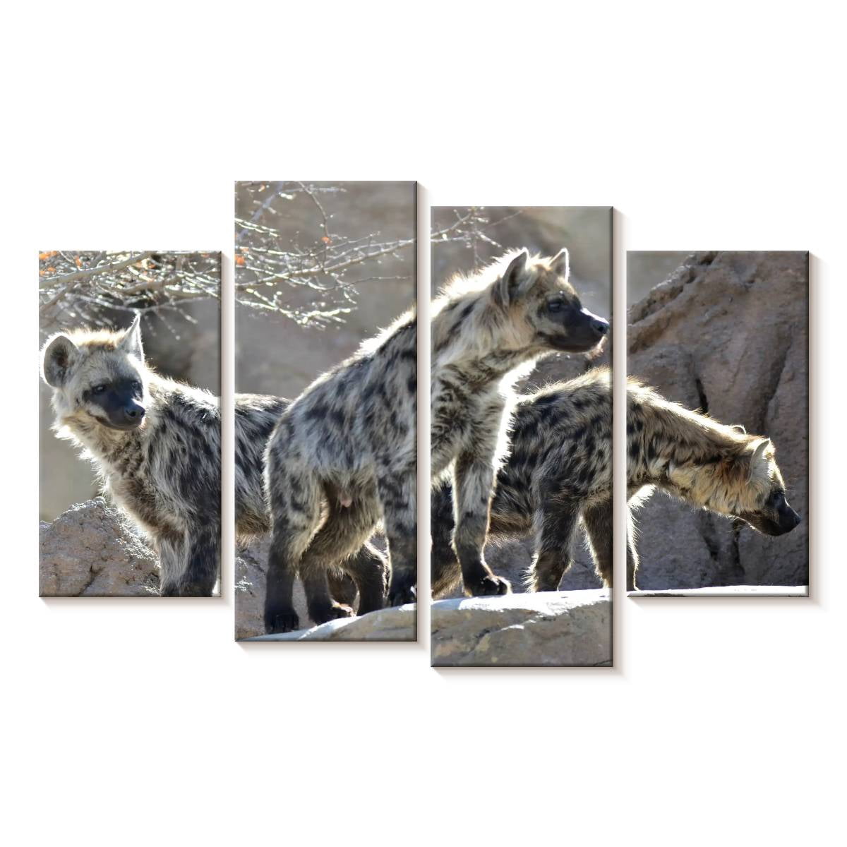 Elephant Stock Cackle Of Hyenas Wall Art - Horizontal Multi Panel ...
