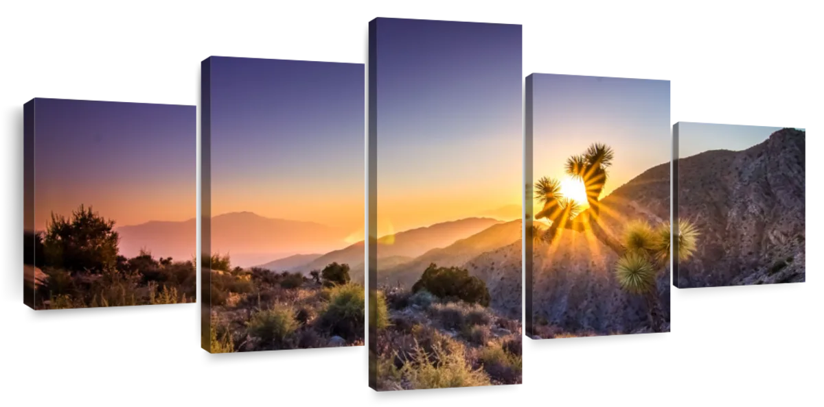 Elephant Stock California Desert Sunrays Wall Art - Horizontal Multi ...