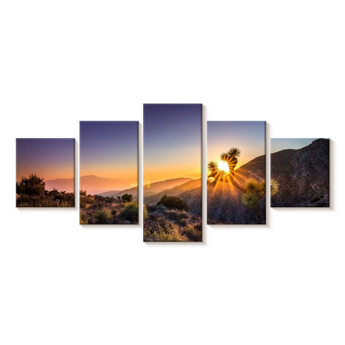 Elephant Stock California Desert Sunrays Wall Art - Horizontal Multi ...