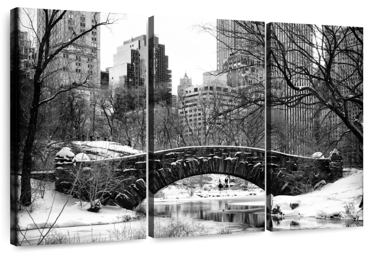 Elephant Stock Central Park Bw Wall Art - Horizontal Multi Panel Canvas - Living Room Wall Decor ...