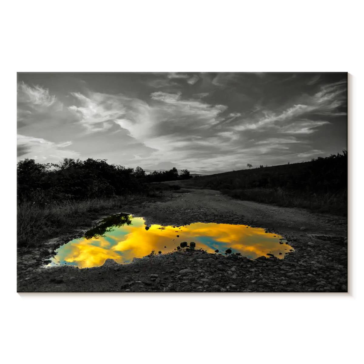 Elephant Stock Cloudy Sky Puddle Pop Wall Art - Horizontal Canvas Wall ...