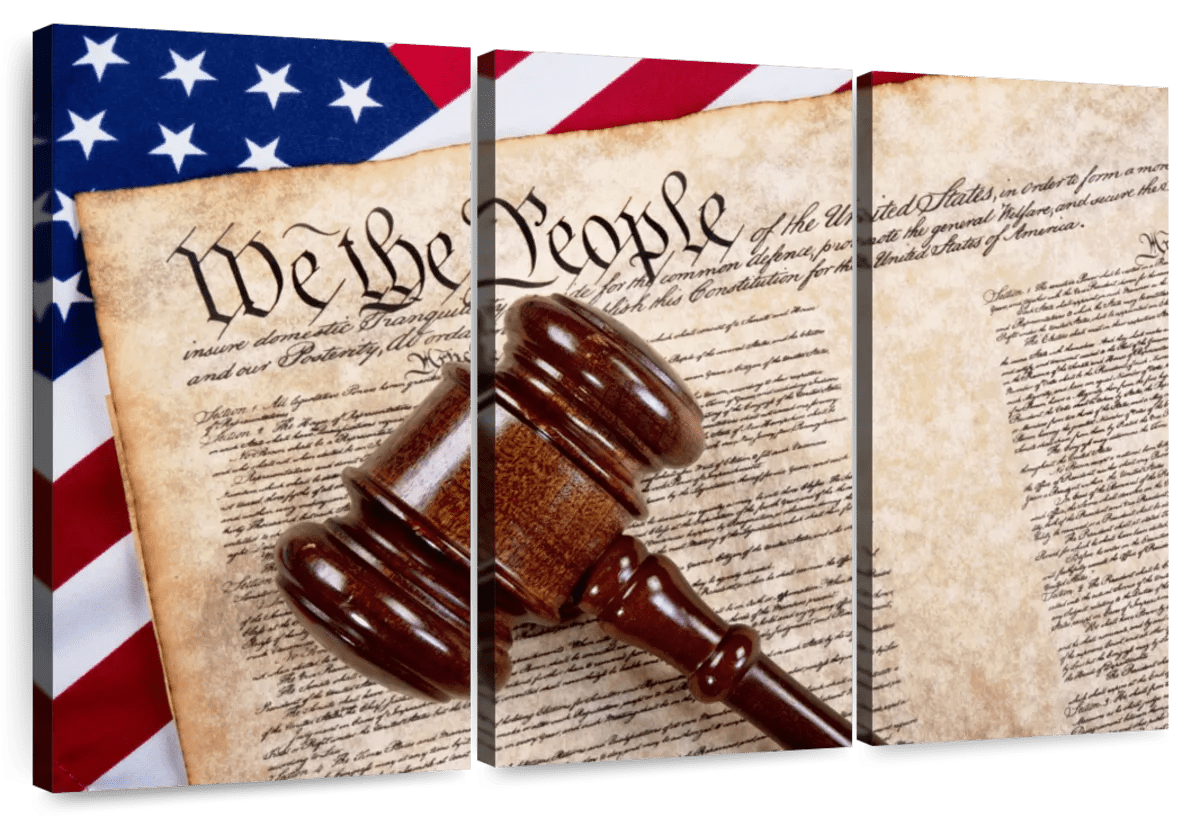 Elephant Stock Constitution With Wooden Gavel Wall Art - Horizontal ...