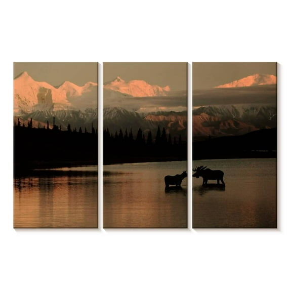 Elephant Stock Courting Moose In Wonder Lake Wall Art - Horizontal ...