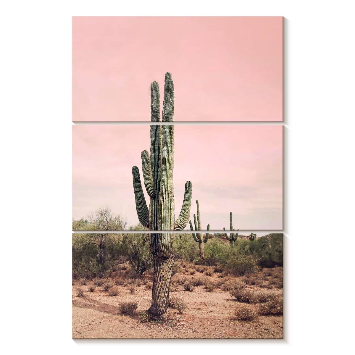 Elephant Stock Desert Cactus Blush Wall Art - Vertical Multi Panel ...