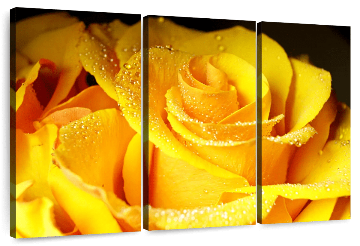 Elephant Stock Dewy Yellow Rose Wall Art - Horizontal Multi Panel ...