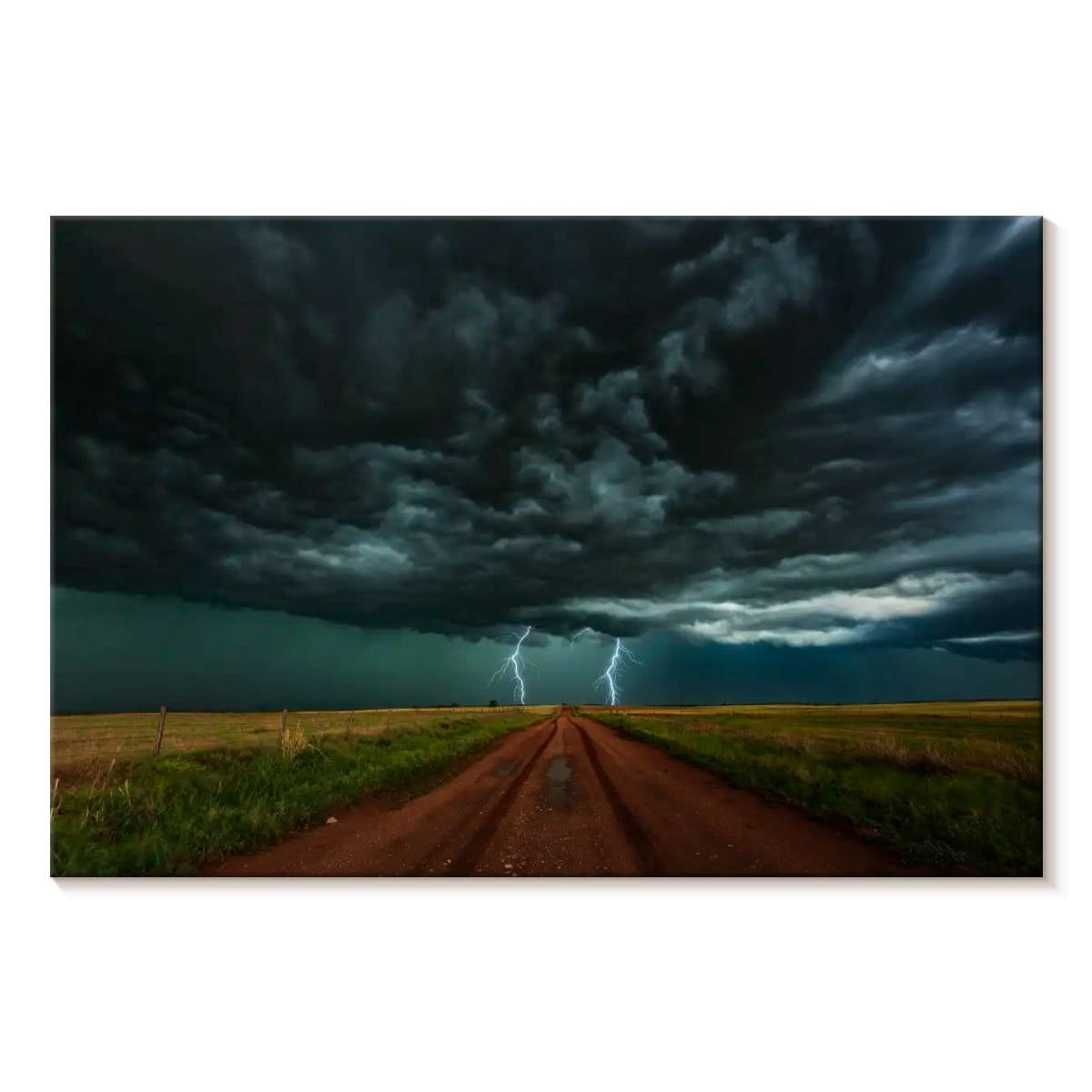 Elephant Stock Double Lightning In Colorado Wall Art - Horizontal ...