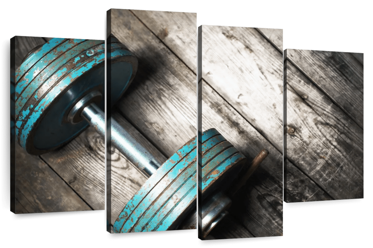 Elephant Stock Dumbbell Wall Art - Horizontal Multi Panel Canvas ...