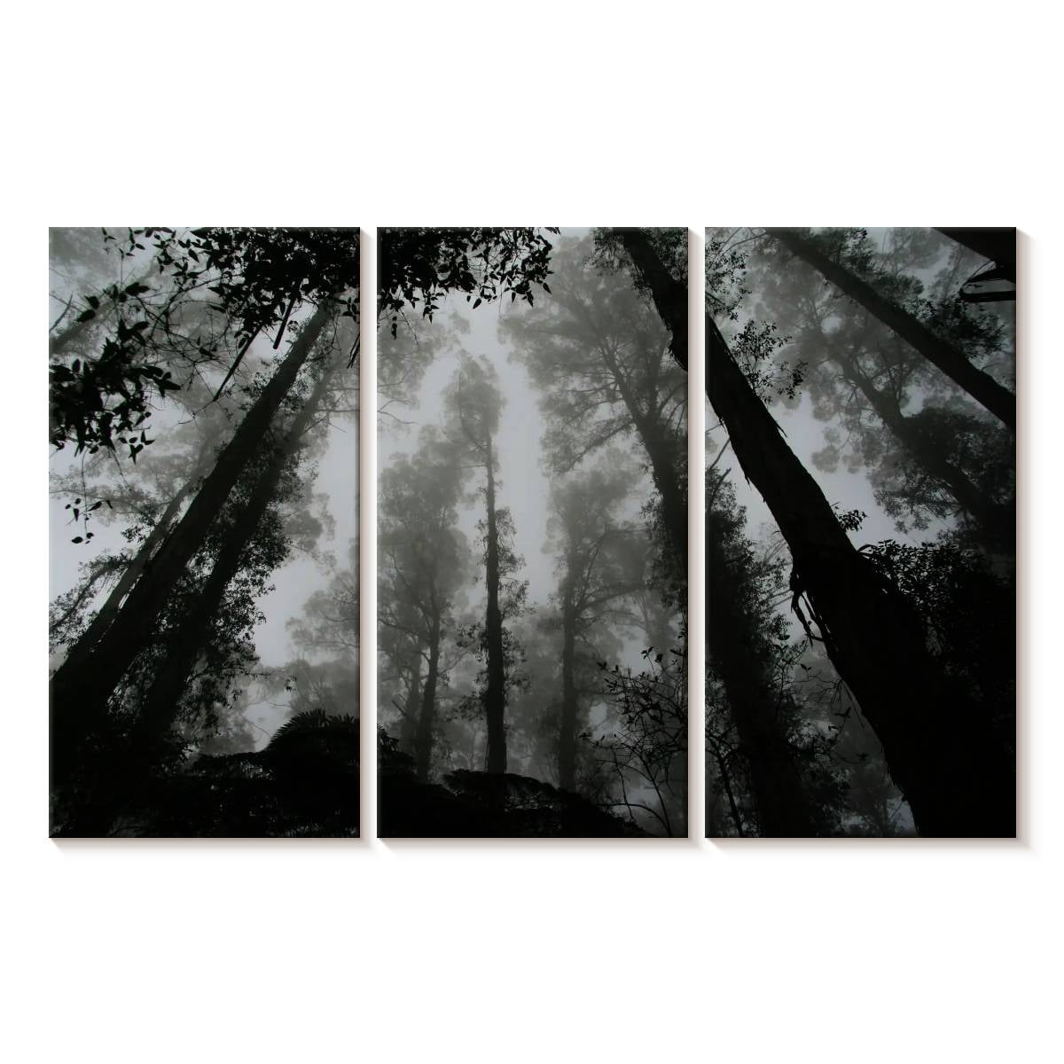 Elephant Stock Eerie Forest Mist Wall Art - Horizontal Multi Panel ...