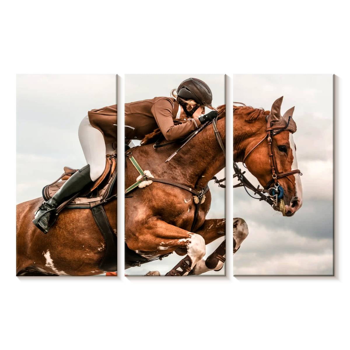 Elephant Stock Equestrian Show Jumping Wall Art - Horizontal Multi ...