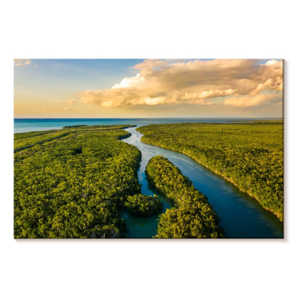 Elephant Stock Everglades National Park Wall Art - Horizontal Canvas ...