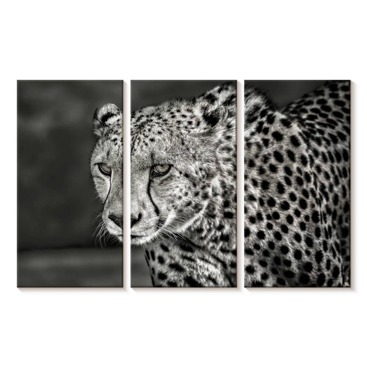 Elephant Stock Ferocious Cheetah Wall Art - Horizontal Multi Panel ...