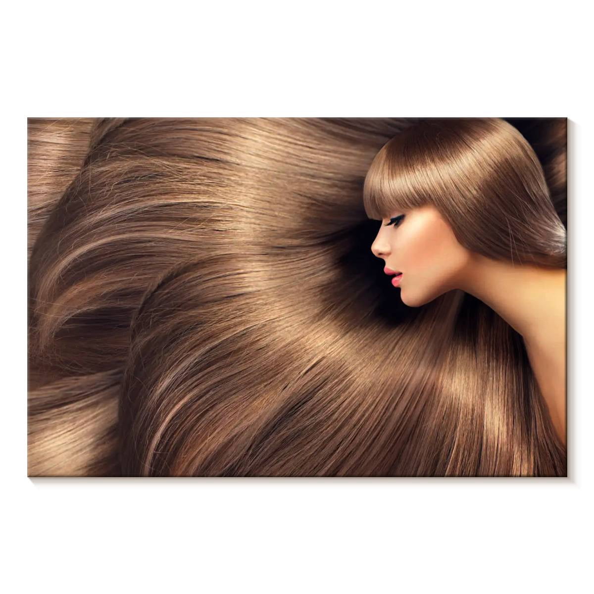 Elephant Stock Flowing Hair Wall Art - Horizontal Canvas Wall Art ...