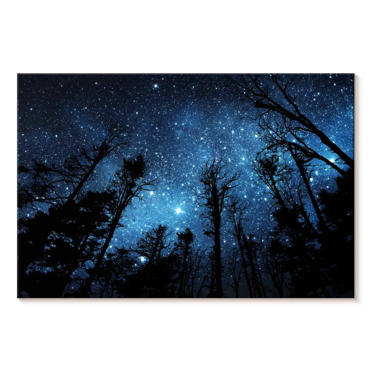 Elephant Stock Forest Night Sky Wall Art - Horizontal Canvas Wall Art ...