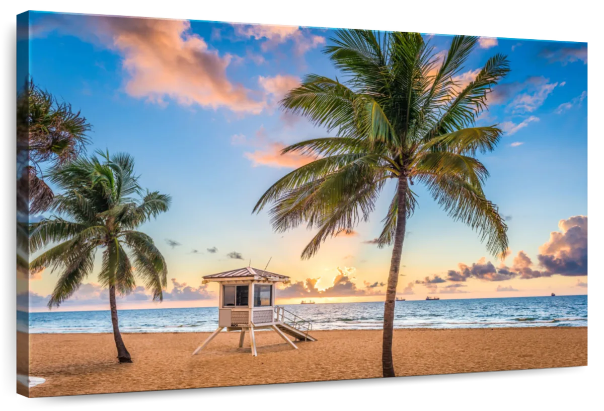 Elephant Stock Fort Lauderdale Beach Lifeguard Tower Wall Art ...