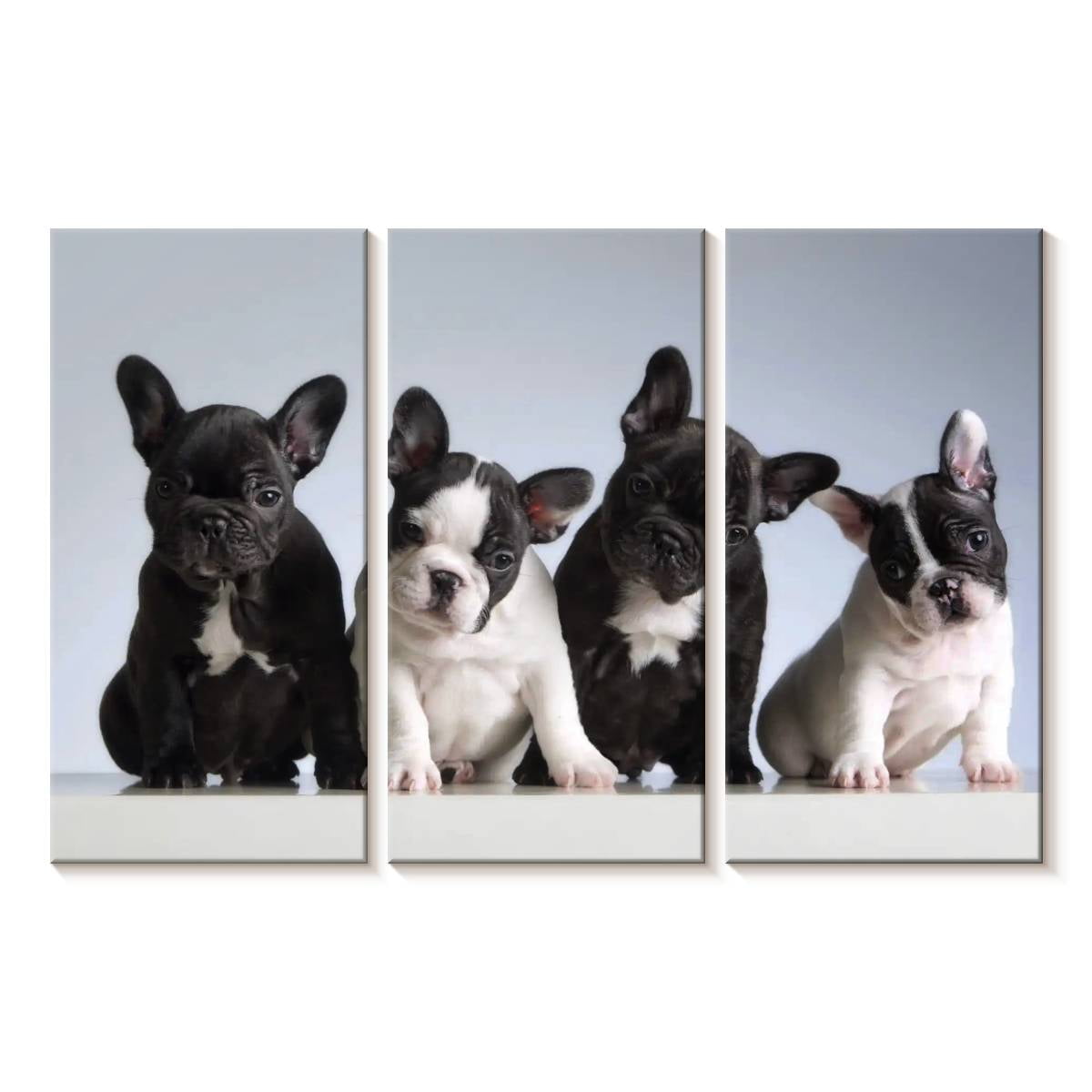 Elephant Stock French Bulldog Puppies Wall Art - Horizontal Multi Panel ...