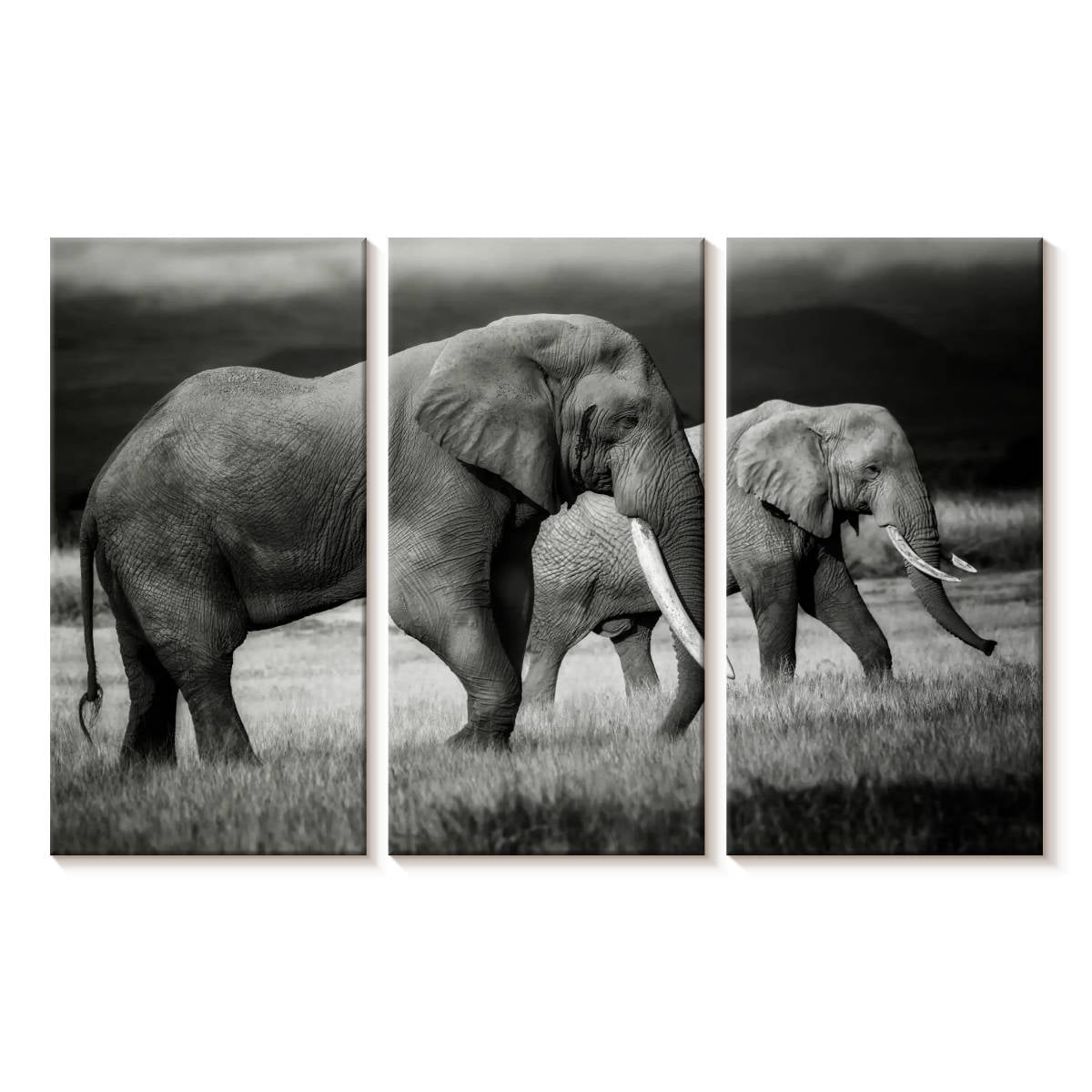 Elephant Stock Grazing Kenyan Elephants Wall Art - Horizontal Multi ...