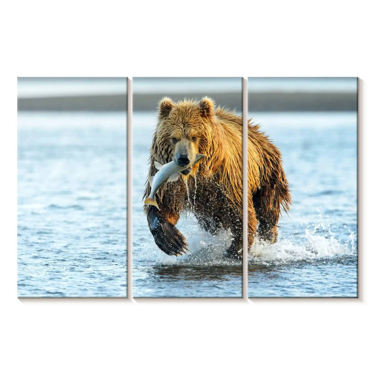 Elephant Stock Grizzly Bear With Salmon Wall Art - Horizontal Multi ...