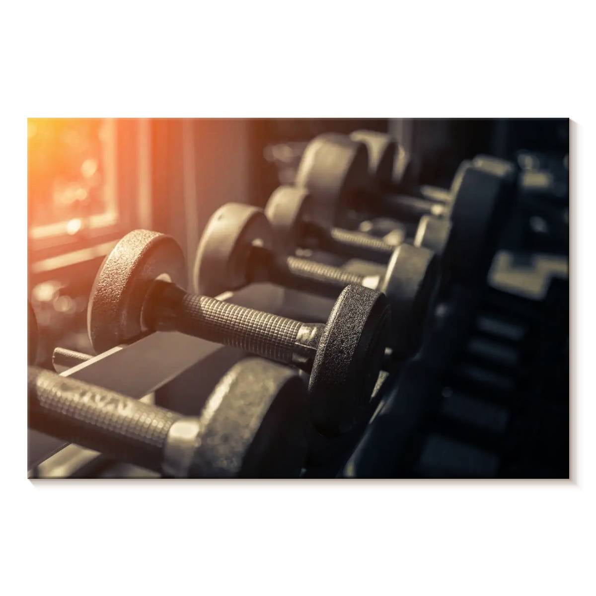 Elephant Stock Gym Dumbbell Rack Wall Art - Horizontal Canvas Wall Art ...