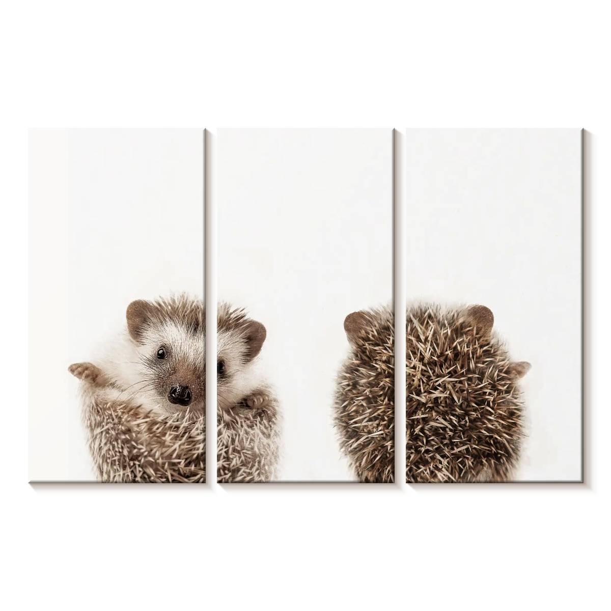 Elephant Stock Hedgehog Front And Back Portrait Wall Art - Horizontal ...